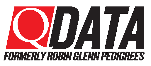 Black Type 2024 – QData