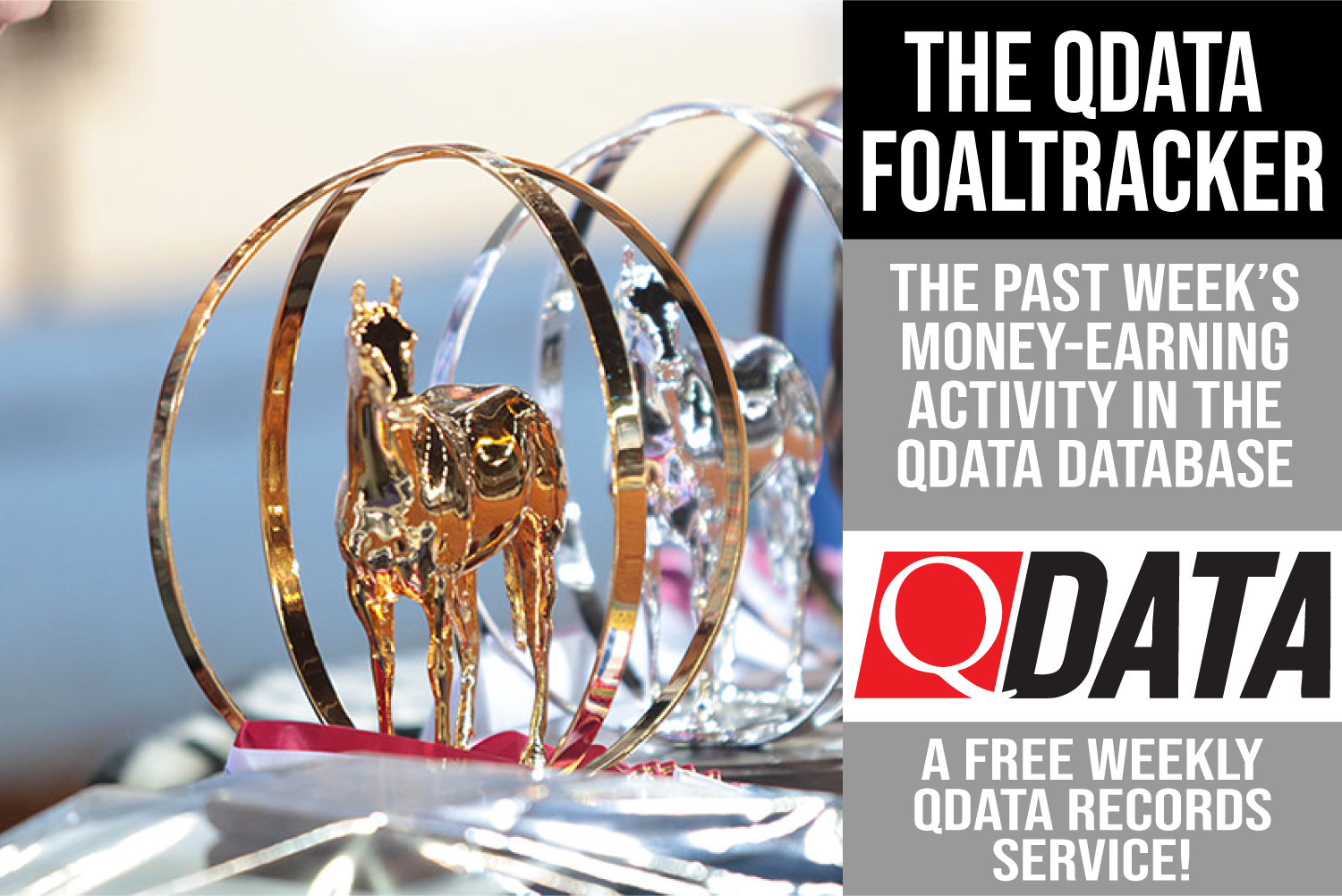 FoalTracker™ – QData